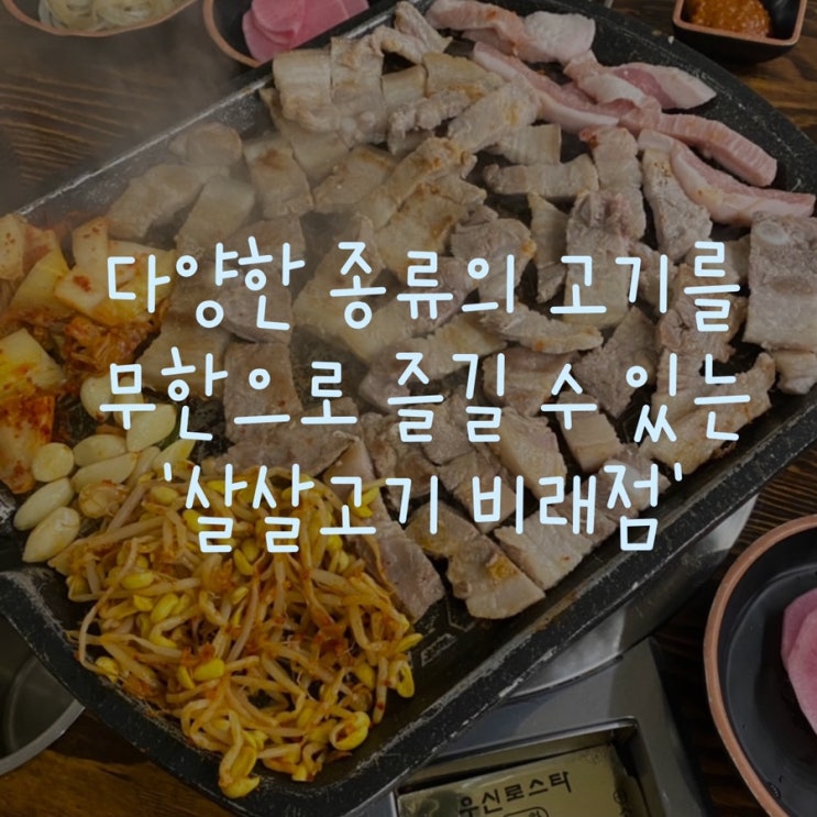 대전비래동 다양한 종류의 고기를 무한으로 즐길 수 있는 고깃집 살살고기 비래점 네이버 블로그