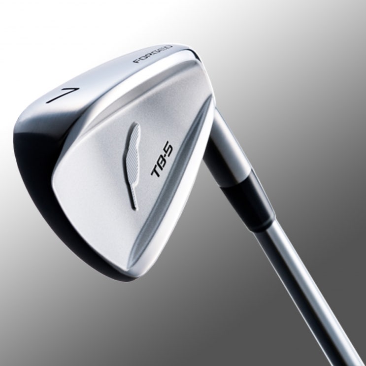 포틴 여성아이언 신형 TB-5 TB5 아이언세트 리뷰 및 추천기 (김해 장유 창원 대표 골프샵 골프프렌드) : 네이버 블로그