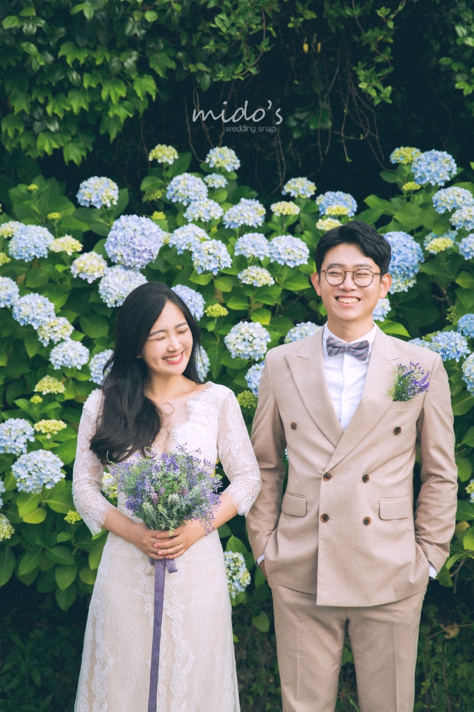 **6월 수국촬영 모집합니다 [미도스스냅/제주도 웨딩스냅] : 네이버 블로그