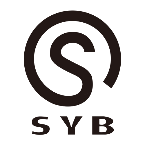 SYB EG-05 드라이버 소개 [천안/아산/세종 골프클럽 피팅] : 네이버 블로그