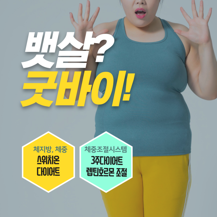 박용우 박사님의 다이어트 30년 전문가책 지방대사 켜는 스위치온 다이어트 실천방법 렙틴호르몬 렙틴저항성 네이버 블로그