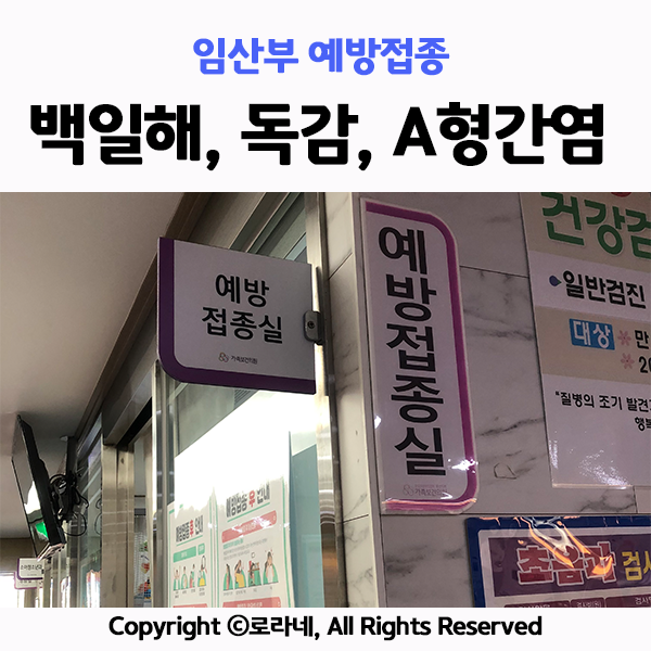 임산부 예방접종 독감 백신 백일해 디프테리아 파상풍 주사 A형 간염 네이버 블로그