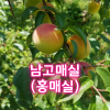 남고매실 수확시기 2023 홍매실 판매파는곳 제철가격 정보 네이버 블로그