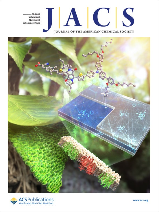 ACS_ JACS/저널커버/논문그림/논문삽화/저널표지/논문커버제작/논문커버이미지/논문커버디자인/표지논문/표지논문제작/TOC이미지 ...
