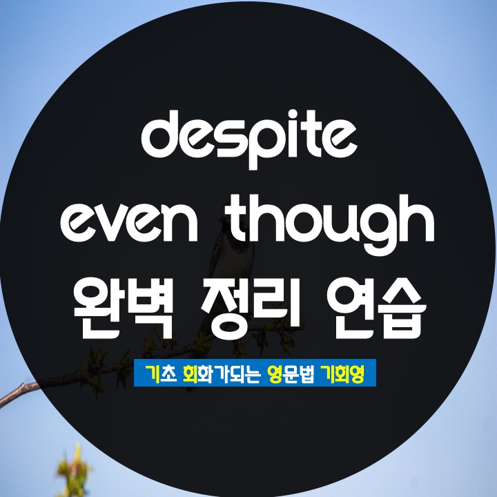 even though despite 차이 정리 - 기회영 : 네이버 블로그