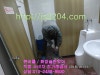 강서구`방화동화장실칸막이빌딩상가 남여화장실 큐비클 칸막이작업 화장실큐비클 공사업체 네이버 블로그
