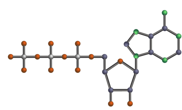 크레아틴 효과와 섭취 방법 자세히!(타이밍) : 네이버 블로그