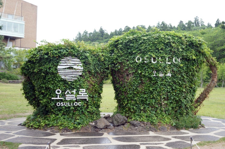 제주 오설록 티 뮤지엄 And 녹차밭 비바람 속을 가다 제주도 서귀포 가볼만한 곳 네이버 블로그