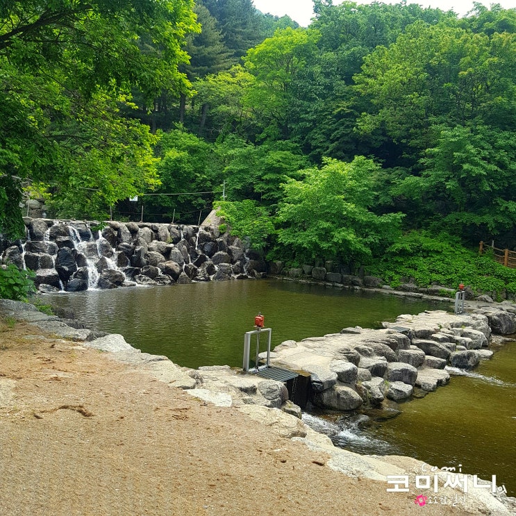 경기도 남양주 가볼 만한 곳 축령산 자연휴양림 산내음 둘레길 2코스와 물놀이장 숲속의 집야영데크 네이버 블로그