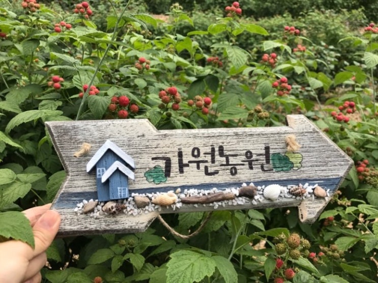 2021 오디시즌이 돌아왔습니다!! 주문하세요. 체험도 시작합니다.((오디,산딸기,복분자,블루베리) : 네이버 블로그