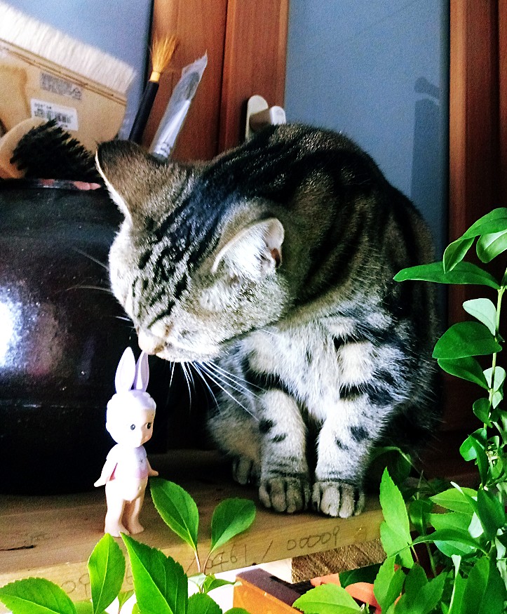 위치성positionality : 네이버 블로그