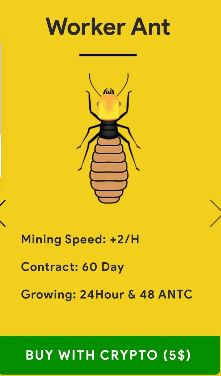 (동향) Ant coin 패키지 도입 : 네이버 블로그
