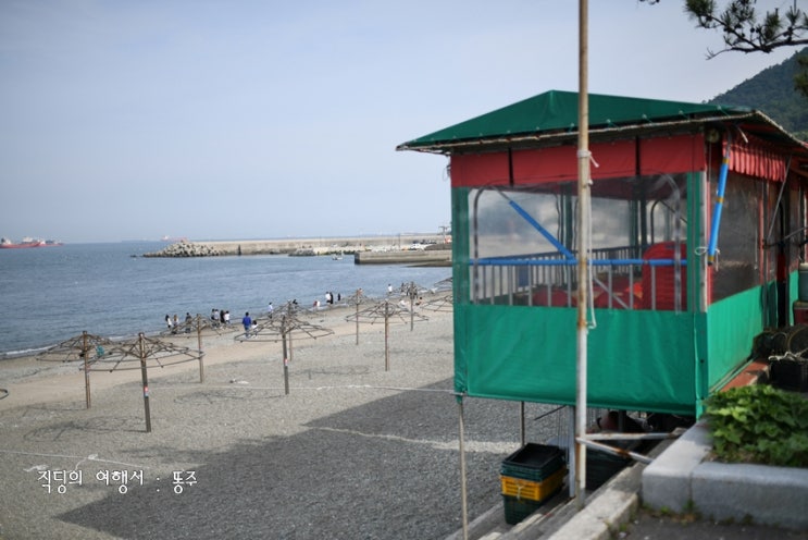 여수 당일치기코스 만성리 검은모래해변 And 레일바이크 놀기 네이버 블로그