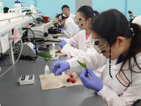 [미국캠프] RSI (Research Science Institute) - 과학, 수학 분야의 뛰어난 명성을 자랑하는 고등학생 ...