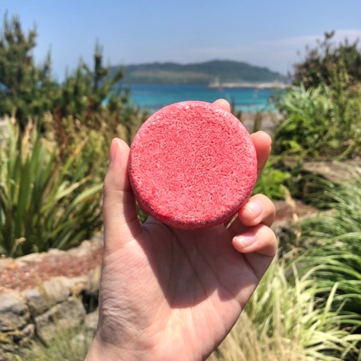 Lush 러쉬 뉴 샴푸 바 N개째 사용후기 샴푸바 보관팁 뉴 샴푸바 솔직후기 네이버 블로그