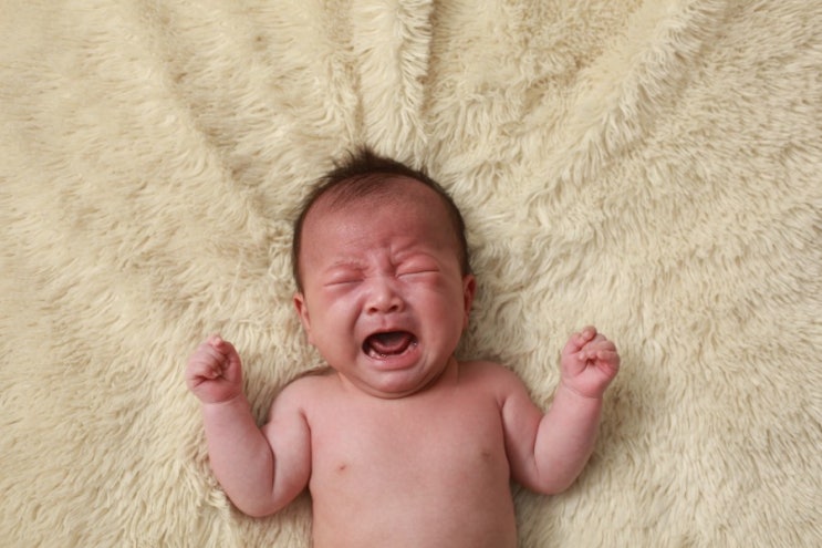 기질육아 세번째, 까다로운아이(difficult baby) : 네이버 블로그