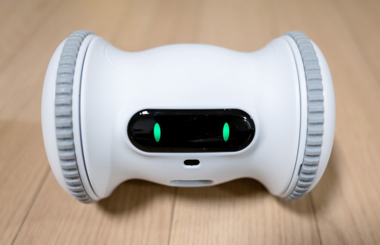 [바램펫/Varram Pet] 내돈내산 바램펫 피트니스 프로 로봇 (강아지 장난감 피트니스) 언박싱 및 일주일 간단 사용기 ...