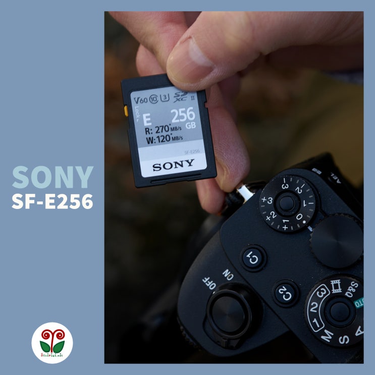 [올페의 SD 메모리 카드 리뷰] Sony SF-E256 : 네이버 블로그