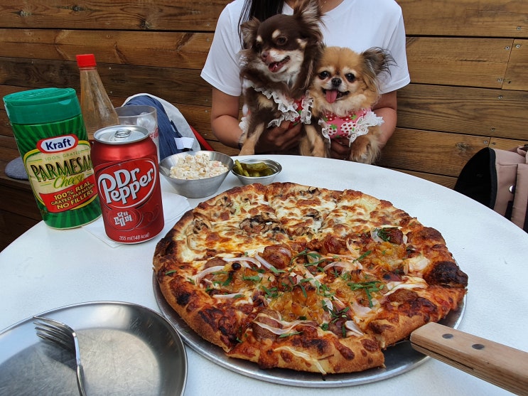 [홍대 피자 맛집] ANOV 아노브 연남 👉 애견동반 가능한 연남피자 : 네이버 블로그