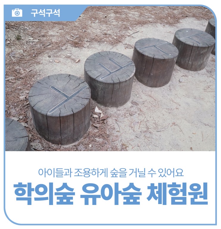대전 유성구 아이와 가볼만한곳 아이들과 조용하게 숲을 거닐 수 있는학의숲 유아숲 체험원 이용하기 네이버 블로그