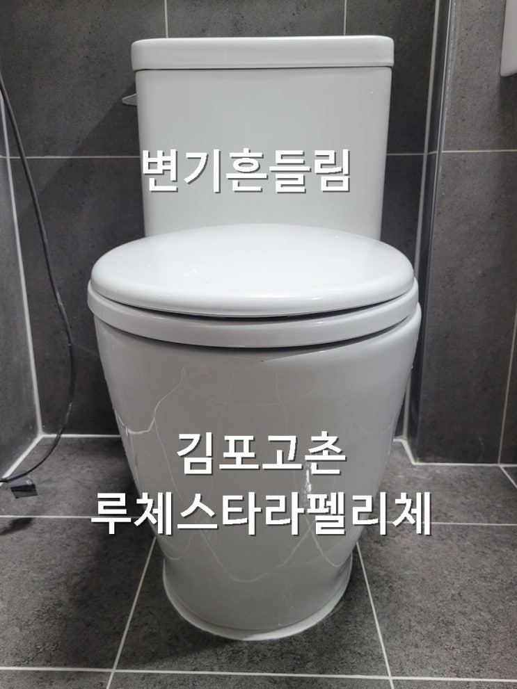 김포고촌변기수리 변기흔들림고정 김포고촌루체스타라펠리체오피스텔양변기시공 변기테두리마감 변기백시멘트시공 김포고촌변기교체