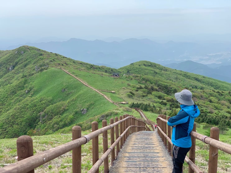 소백산 산행 철쭉 핀 비로봉 국망봉 등산코스 아름다운 능선길을 거닐다 네이버 블로그