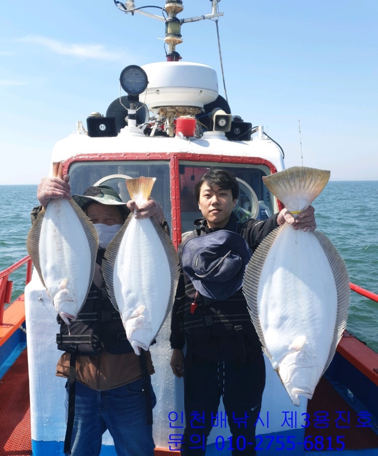 5월19일 영흥도배낚시 제3용진호 대광어 다운샷 조황~ : 네이버 블로그