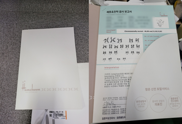 아빠는육아대장 1차기형아검사2서초함춘 융모막검사 후기 네이버 블로그