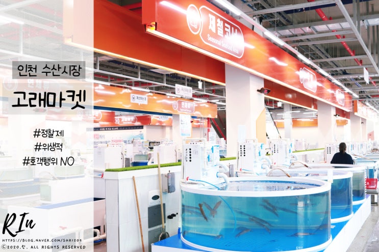 인천연안부두 고래마켓 해산물and회센터깔끔한 내부와 정찰제로 안심feat4층 브로슈코 카페 네이버 블로그