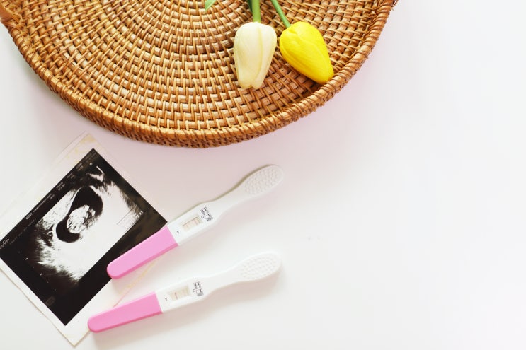 임신 피검사 수치 임신초기 주의사항과 유산증상피비침 배땡김 네이버 블로그