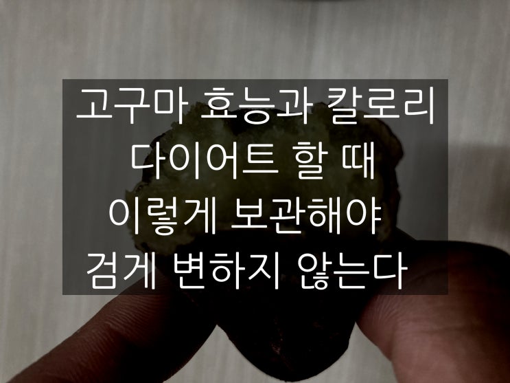 고구마 효능과 칼로리 다이어트 식단에서 빠질 수가 없는 이유 네이버 블로그