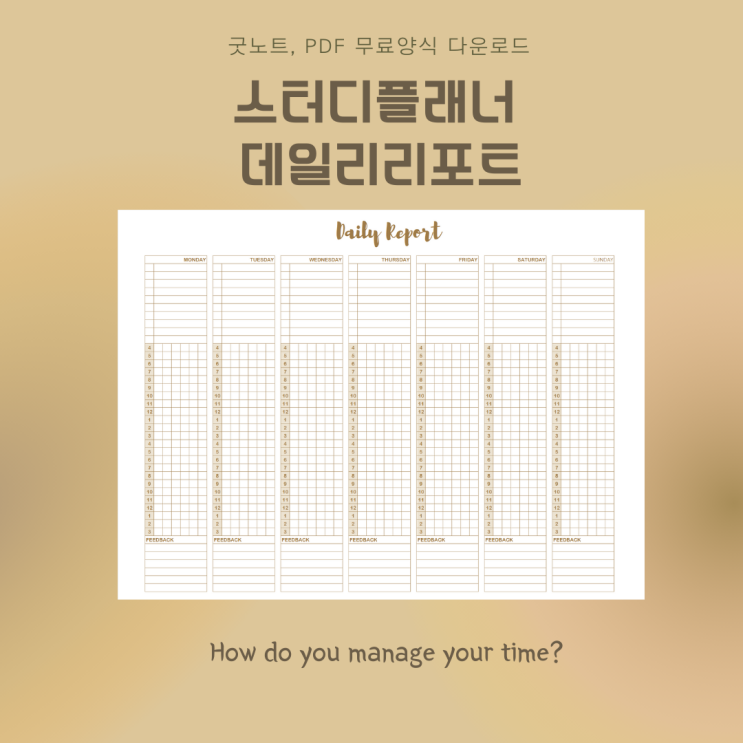 굿노트 스터디플래너 데일리리포트 위클리 무료양식 Pdf 네이버 블로그