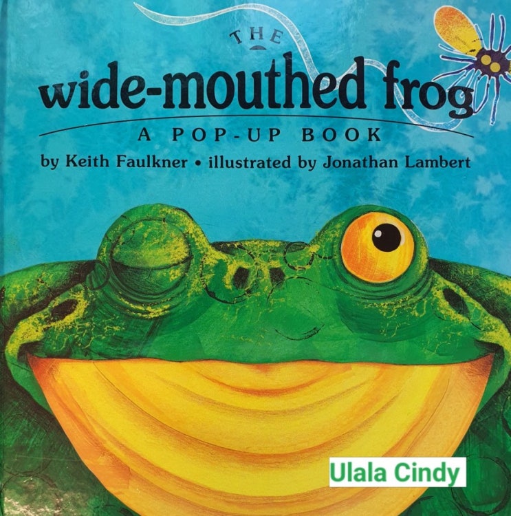The Wide mouthed frog 입큰 개구리 살려줘 : 네이버 블로그