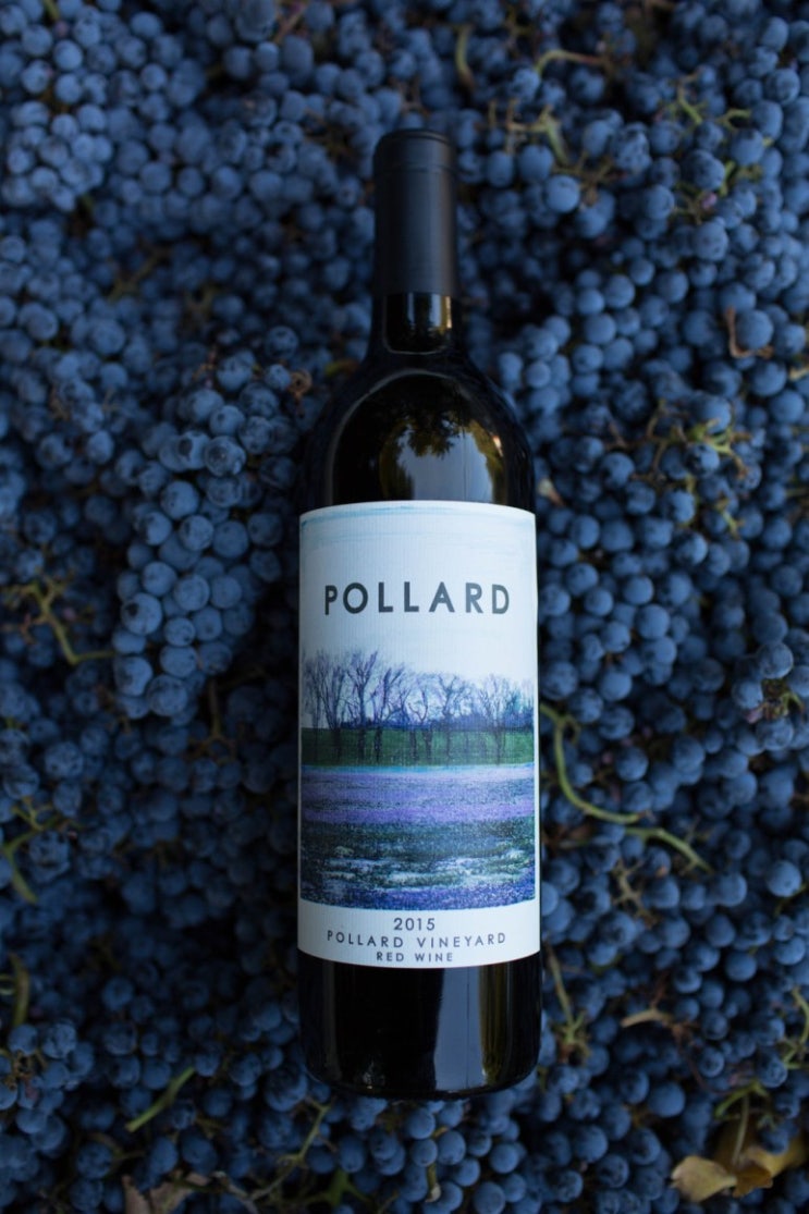 POLLARD Red Blend Pollard Vineyard" Yakima Valley 2016/폴라드 레드블렌드,폴라드 ...