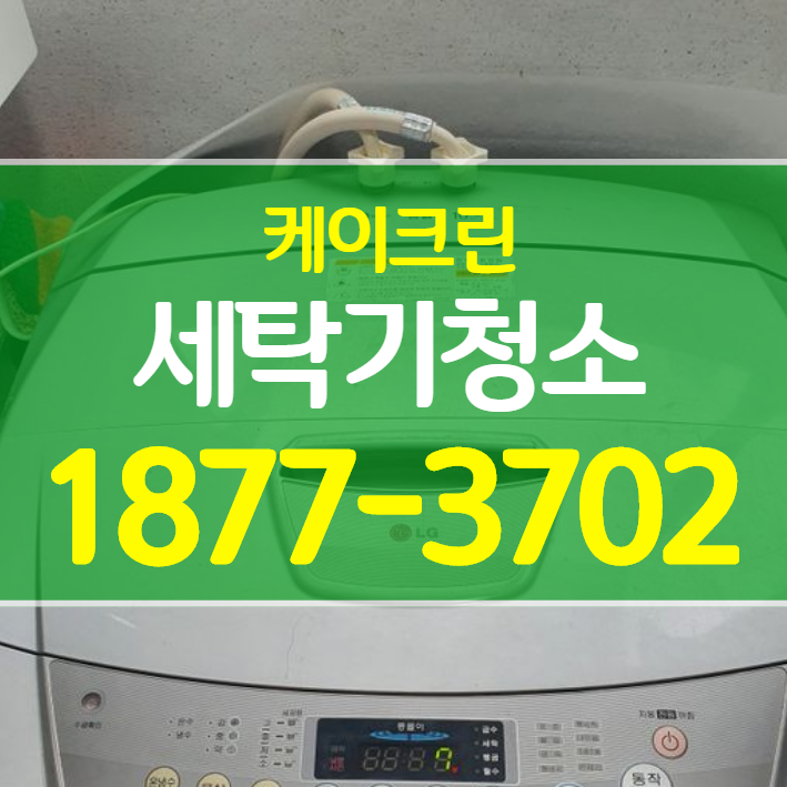 드럼세탁기고무청소 엘지트롬세탁기 통세척 업체lg Tromm 네이버 블로그