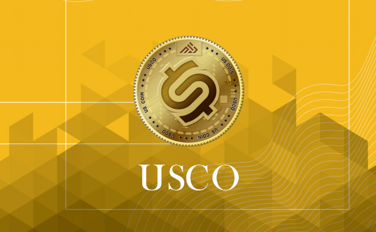 어스코인 USCO 토큰, RMS 서비스 생활 금융 통합 블록체인 : 네이버 블로그