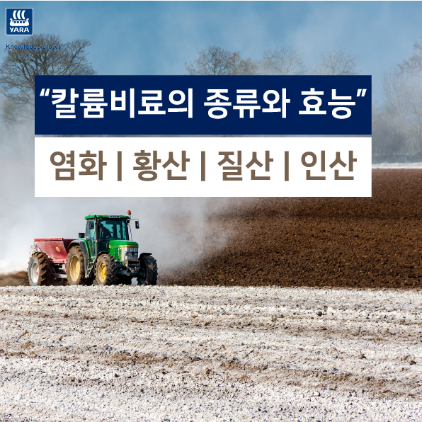 칼륨비료의 종류와 효능 염화가리 황산가리 질산가리 인산가리 농사100단 네이버 블로그