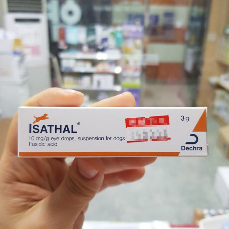 [강아지] 세균성 결막염 치료약 : 이사탈(ISATHAL) 서울 중구 을지로 동물약국 : 네이버 블로그
