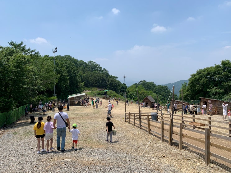 홍천 비발디파크 곤돌라and 하늘 양떼목장 리얼 후기 네이버 블로그