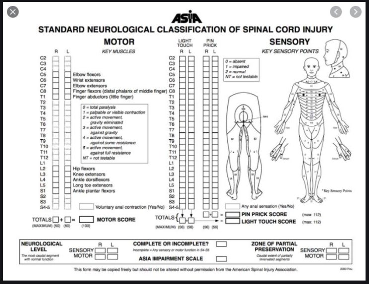 ISNCSCI( SCI-척수 손상 환자 신경학적 평가 방법) : 네이버 블로그
