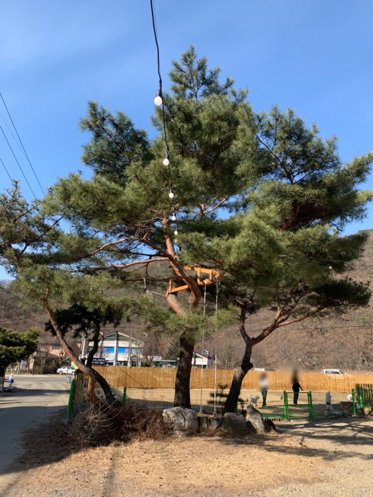 퇴촌카페 조용하게 힐링하기 좋은 퇴촌카페 코드야드앤라운지 Feat 애견동반 가능 네이버 블로그