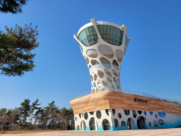 태안여행 서산버드랜드 스탬프투어♬ 아이와함께 가볼만한곳추천 네이버 블로그
