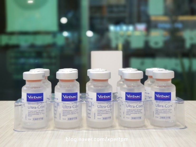 울트라콘 주사 Ultra-corn Inj. 동물용 면역증강제 주 동물약국 청주동물약국 늘봄동물약국 : 네이버 블로그