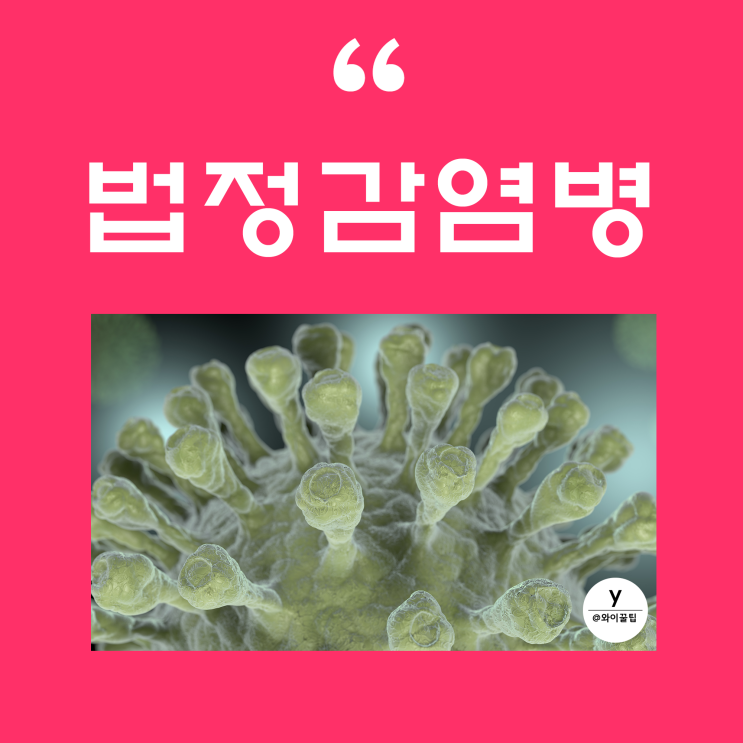 법정감염병 코로나19 외 인수공통감염병 1급감염병 예방법 네이버 블로그