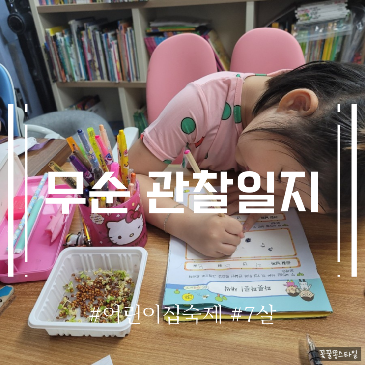 무순 키우기 관찰일지 소통하고 배워가는 어린이집 숙제 네이버 블로그