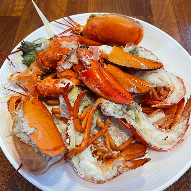 수원 일식 코스요리 농어 회해물모듬랍스타매운탕b코스 스끼다시 오마카세 인계동 삼학도회수산 네이버 블로그