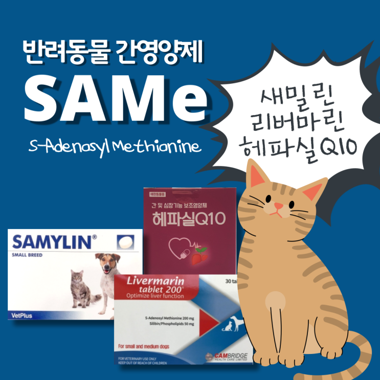 큐어벳 약이야기 Same영양제 비교 2탄새밀린 헤파실q10 리버마린강아지 간 영양제 고양이 간 영양제 네이버 블로그