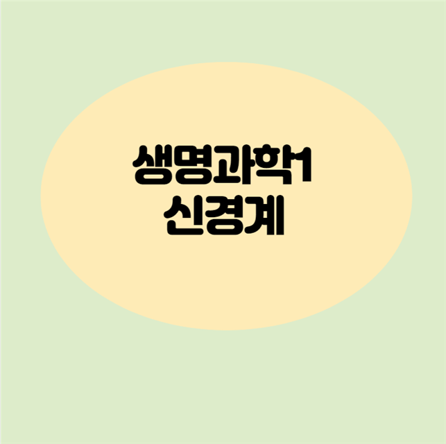 중추 말초 체성 자율 신경계 알아보고 무조건 조건 반사와 교감 부교감 신경 까지 공부하자 네이버 블로그