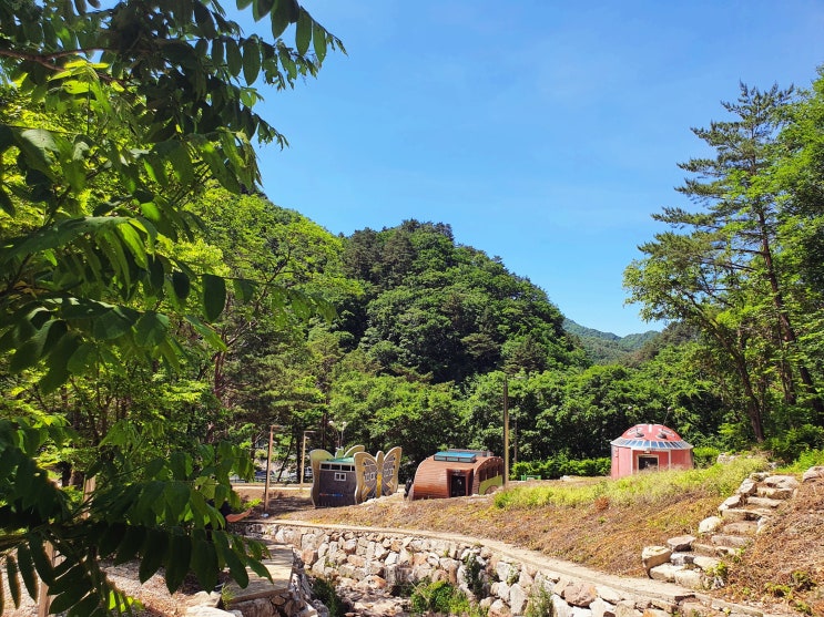 진동리국민여가캠핑장 동영상 보면서 사이트 예약하기 네이버 블로그