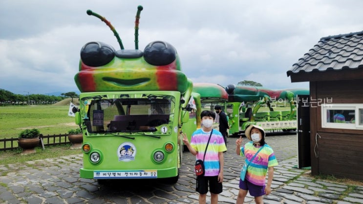 경주 비단벌레 전기자동차 요금 운행시간 예약방법 월성지구 관광 네이버 블로그